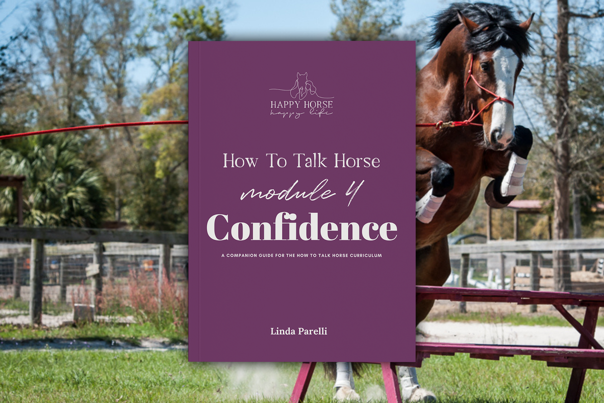 How to Talk Horse Companion Guide to Module 4: Confidence – Happy Horse ...