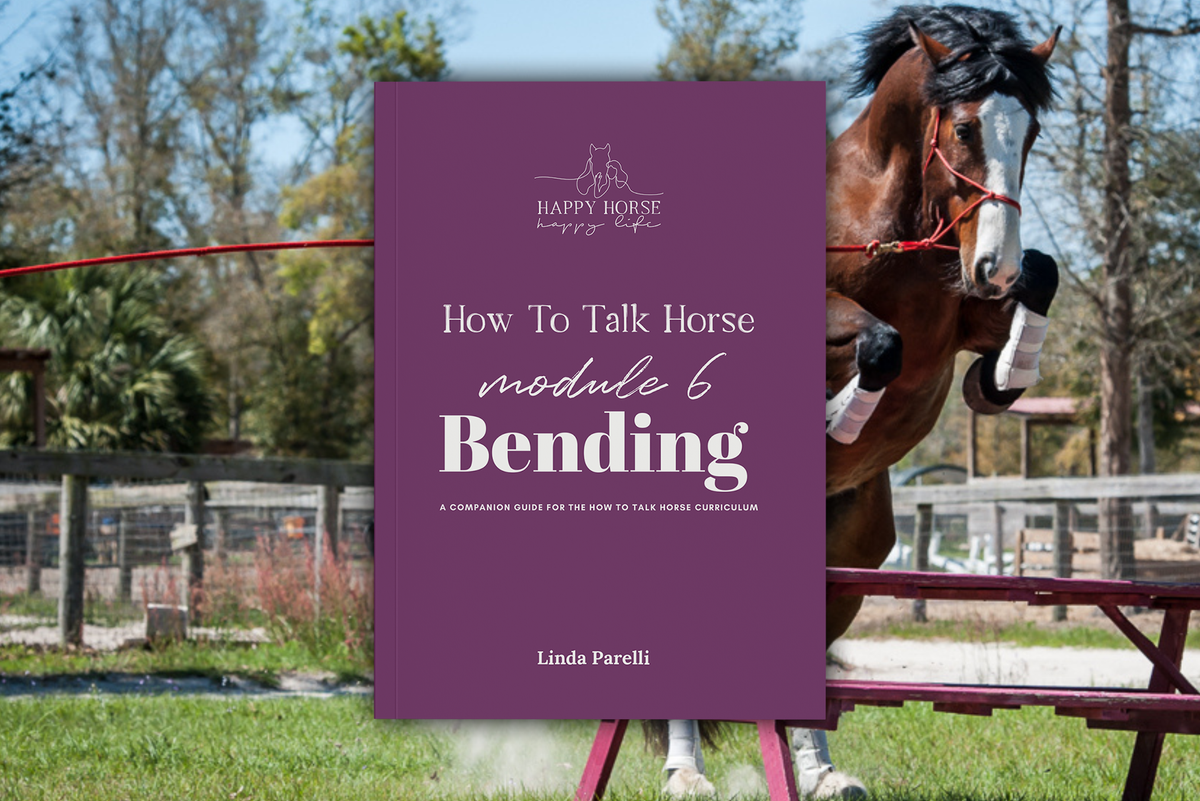 How to Talk Horse Companion Guide to Module 6: Bending – Happy Horse ...