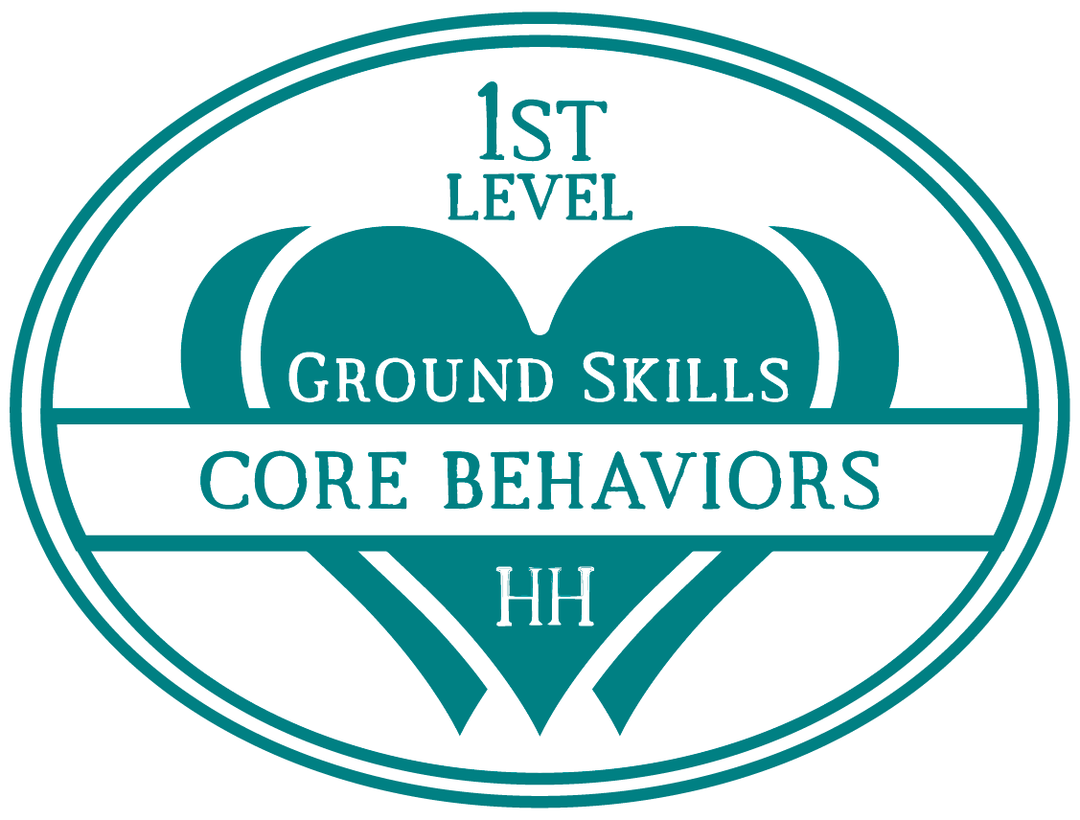 Success Program Test 1st Level: Ground Skills – Happy Horse Happy Life