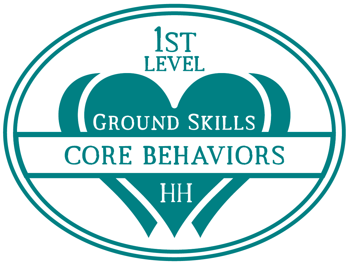 Success Program Test 1st Level: Ground Skills – Happy Horse Happy Life