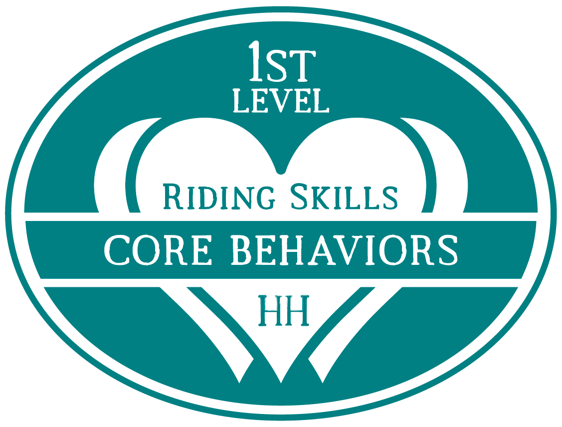 Success Program Test 1st Level: Riding Skills – Happy Horse Happy Life